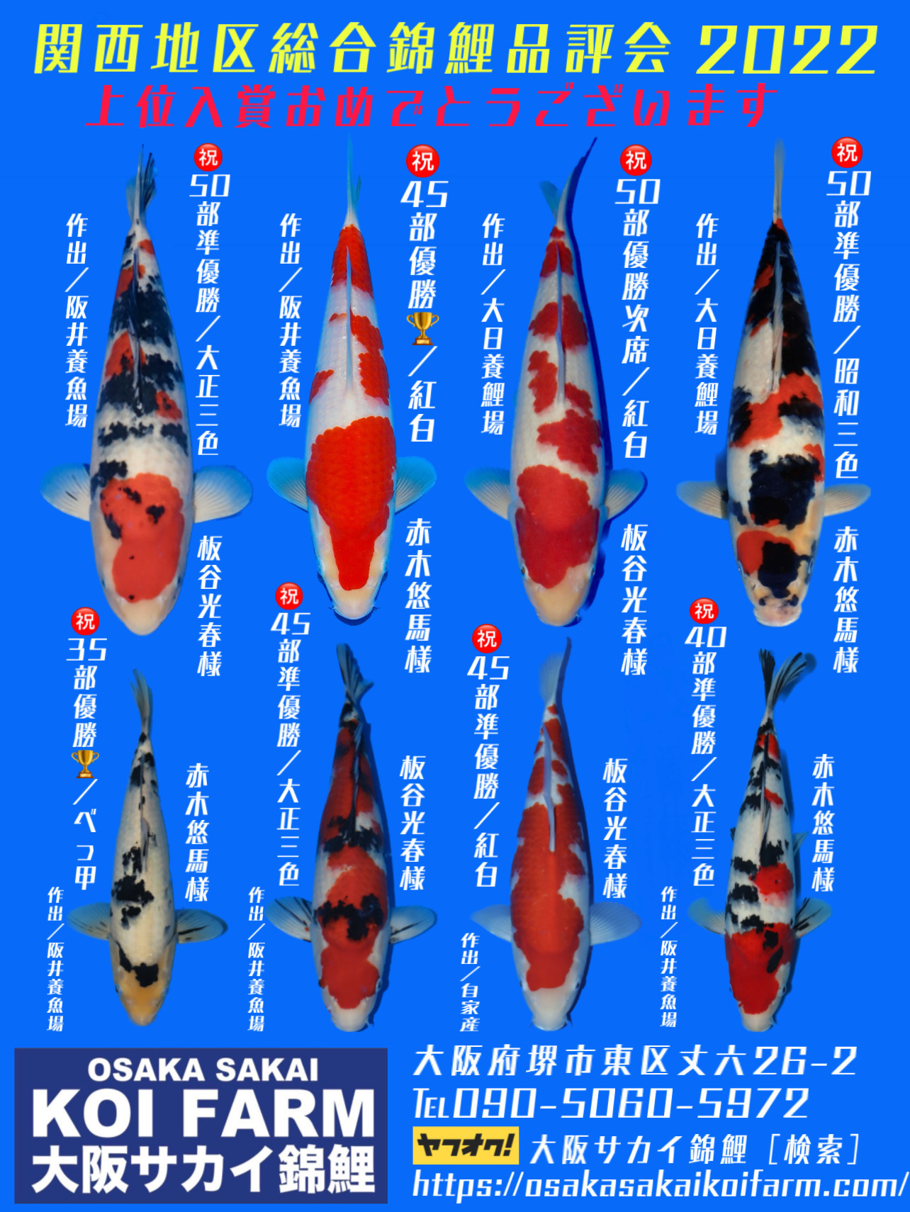 大阪サカイ錦鯉